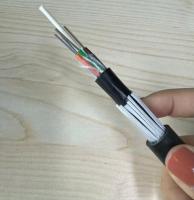 China GYFTY63 24 Core Anti Rodent Fiber Optic Cable FRP Strength Member for sale