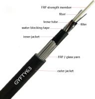 China GYFTY63 48 Core Anti Rodent Fiber Optic Cable PE Sheath Underground for sale