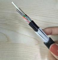 China Anti Rodent Fiber Optic Cable GYFTY83 FRP Armoured 12-144 Cores for sale
