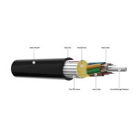 China Anti Rodent Fiber Optic Cable GYFTY83 FRP Armoured 12-144 Cores for sale
