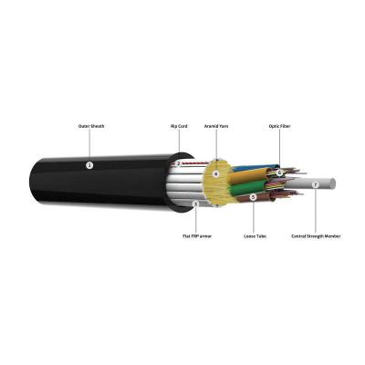 China Anti Rodent Fiber Optic Cable GYFTY83 FRP Armoured 12-144 Cores for sale