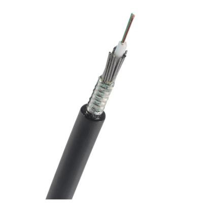 China Anti Rodent Underwater Fiber Optic Cable GYXTS 12 Core Single Mode for sale