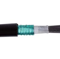 China GYXTS 12 Core Anti Rodent Fiber Optic Cable Steel Tape Armored Outdoor for sale