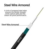 China GYXTS 12 Core Anti Rodent Fiber Optic Cable Steel Tape Armored Outdoor for sale