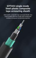 China GYTA53 Direct Buried Fiber Optic Cable 24-72 Cores PE Jacket for sale