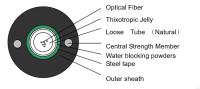 China GYXTW-12B1.3 Outdoor Fiber Optic Cable 12 Core G652D Aerial for sale
