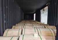 China GYXTS Steel Wire Armored Anti Rodent Fiber Optic Cable 2-24C for sale
