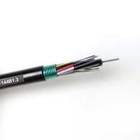 China GYTS 24 Core Single Mode G652D Steel Tape Armored Fiber Optic Cable for sale