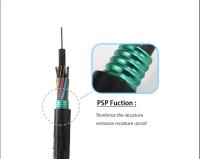 China GYTS 24 Core Single Mode G652D Steel Tape Armored Fiber Optic Cable for sale