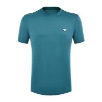 China Men's Custom Logo T-Shirt 100% Cotton 170-120 GSM Blank Tee for Branding and Promotional Use for sale