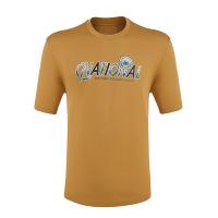 China 170-210g High Elasticity Oversized Men's T-Shirt - 100% Cotton Custom Logo ODM/OEM Service for sale