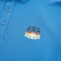 China Custom Embroidered Men's Polo Shirts 170-120g Fabric with Anti-Wrinkle & Sustainable Features for sale