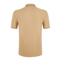 China Custom Polo Shirts 100% Cotton Quick Dry High Elasticity Embroidery Logo Men Short Sleeve 170-120G for sale