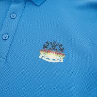 China 95% Polyester 5% Spandex Men's Golf Polo Shirt Striped Sleeve 170-120G for sale
