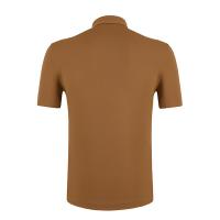 China Men's Custom Logo Quick Dry Anti-Pilling Cotton Polo Shirt 170G Fabric ODM/OEM for sale