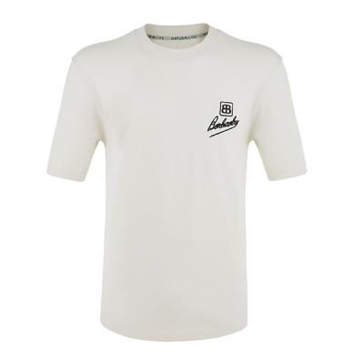 China Men's 100% Cotton 250 Gsm Oversized Short Sleeve T Shirt Custom Puff Embroidered for sale