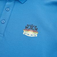 China Custom Plain Golf Polo Shirts for Men 100% Cotton 170g Breathable Anti-Wrinkle ODM OEM for sale