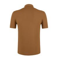 China Quick Dry Anti-Pilling Men Polo T Shirt 170-210G Cotton Custom Logo High Performance for sale