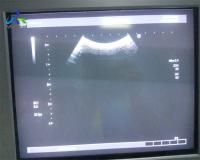 China Toshiba PVT-382BT Abdominal Ultrasound Transducer Probe 5.5 MHz for sale