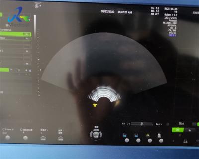 China GE RIC5-9A-RS 3D 4D Endocavity Ultrasound Transducer Dome And Crystal Array Replacement for sale