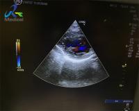 China GE 3SC-RS Ultrasound Probe Repair Original Crystal Array Replacement for sale