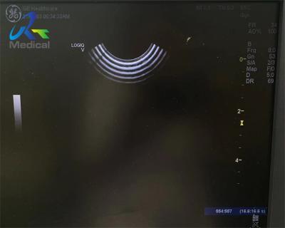 China GE E8C-RS Ultrasound Transducer Crystal Array Replacement and Connector Housing Repair for sale