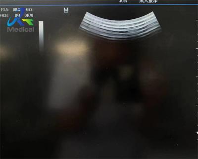 China Probe Repair Mindray Ultrasound Probe 3C5S Lens Replacement for sale