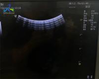 China GE 4C Convex Ultrasound Probe Repair Transducer Miantenance for sale