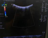 China GE 4C Convex Ultrasound Probe Repair Transducer Miantenance for sale