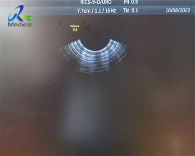 China GE RIC5-9-D Ultrasound Probe Repair 4D Replace Dome And Crystal Array for sale