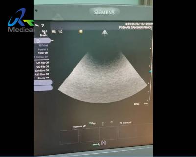 China Siemens S1000 Ultrasound Machine Repair Service No Image And Waveform In Mode And Can'T Switch To 14L5 Probe for sale