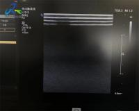 China L12-3 Linear Array Ultrasound Transducer Probe Replace Strain Relief Crystal And Cable for sale