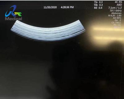 China GE 4C-RS Curved Array Abdominal Ultrasound Transducer Medical Hospital Instrument for sale