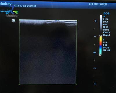 China Mindray L14-6NE Ultrasound Transducer Probe Replace Crystal Array For Endocavity for sale