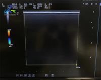 China Biosound Biosound SL1543 Linear Array Ultrasound Probe Repair Replace Lens And Crystal for sale