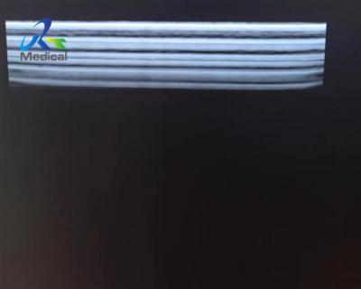 China Biosound Biosound SL1543 Linear Array Ultrasound Transducer Probe Crystal Replacement for sale