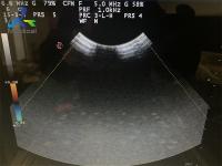 China CA123 Ultrasound Probe Repair Maintenance Replace Crystal for sale