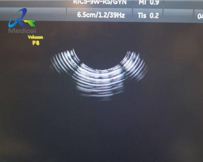 China GE RIC5-9W-RS Ultrasound Probe Repair Monitor Dome Crystal for sale