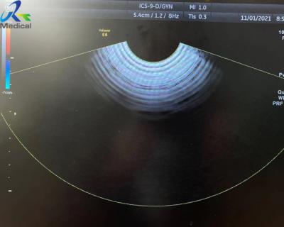 China GE Voluson E8 Ultrasound Probe IC5-9-D Endovaginal Transducer Repair for sale