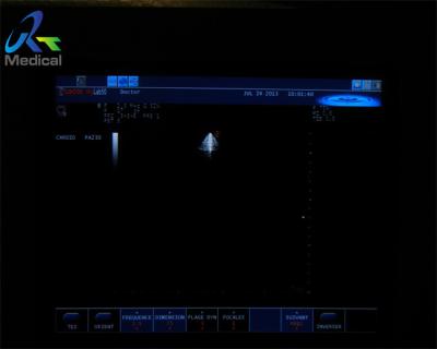 China Cardiac Ultrasound Transducer Phased Probe Biosound Biosound PA230E for sale