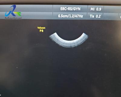 China GE E8C-RS Ultrasound scanner Probe Electronic Diagnostics For Obstetrics Gynaecology for sale