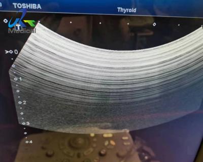 China PVT-375BT Ultrasound Transducer Probe For Toshiba Aplio 50 SSA-700A for sale