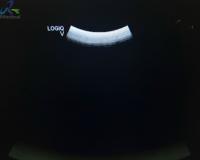 China GE 4C-RS Curved Array Abdominal Ultrasound Probe Hospital Instrument for sale