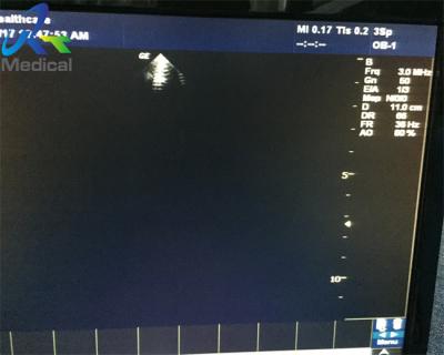 China GE 3SP Cardiac Sector Array Ultrasound Transducer Probe For Diagnosis Device for sale
