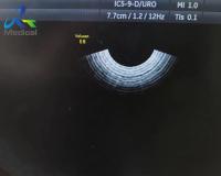 China 9MHz Ultrasound Scanner Probe GE IC5-9-D Endocavity Medical Facility for sale