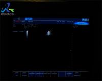 China Cardiac Ultrasound Transducer Phased Probe Biosound Biosound PA230E for sale