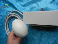 China RAB2-5L Used Ultrasound Probe 3D 4D Wideband Convex Volume Ergonomic Abdominal for sale