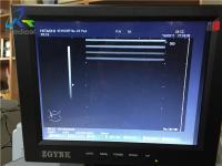 China Hitachi EUP L33ST Ultrasound Machine Probes 38mm Eidos System for sale