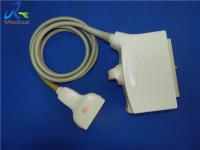 China 6.2 Mhz PLT-805AT Linear 56Mm Ultrasound Scan Probe for sale