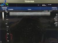 China Toshiba PLT 1005BT Ultrasound Transducer Probe 14 MHz for sale